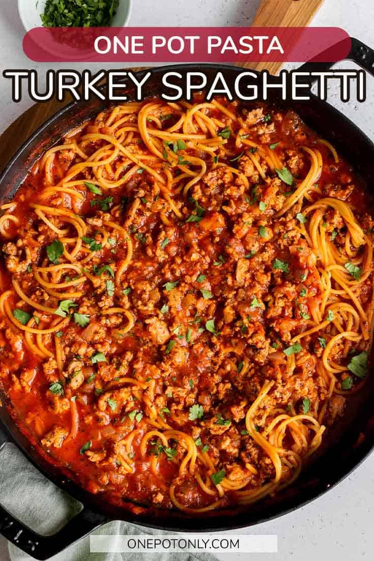 Turkey Spaghetti - One Pot Only — easy recipes using one pot only!