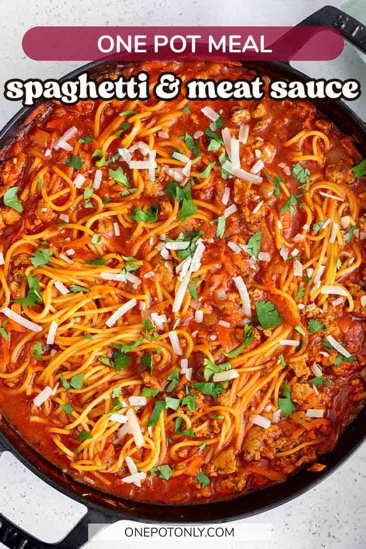 One Pot Spaghetti with Meat Sauce - One Pot Only — easy recipes using ...